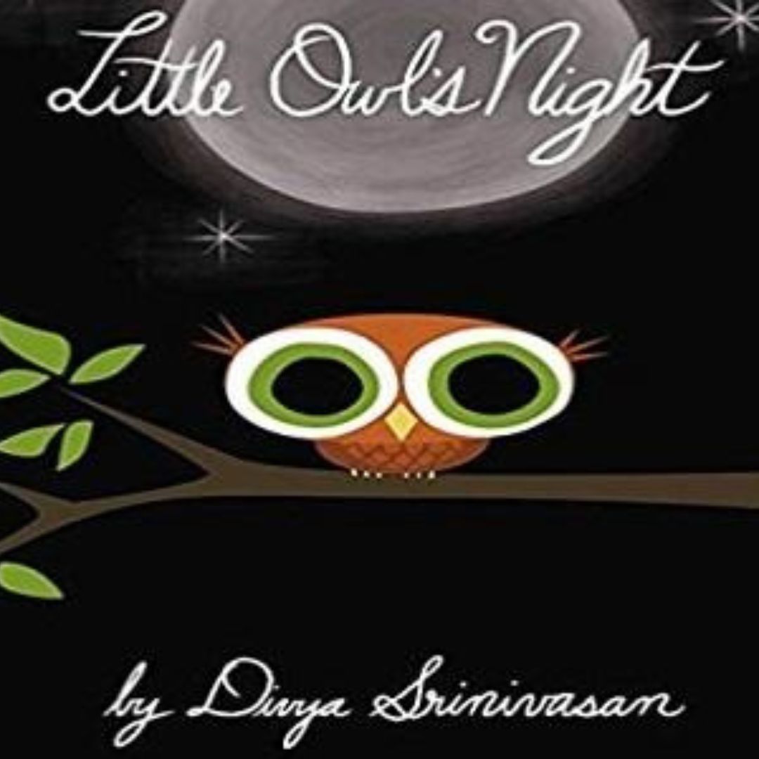 Little Owl's Night – Kutubna Cultural Center